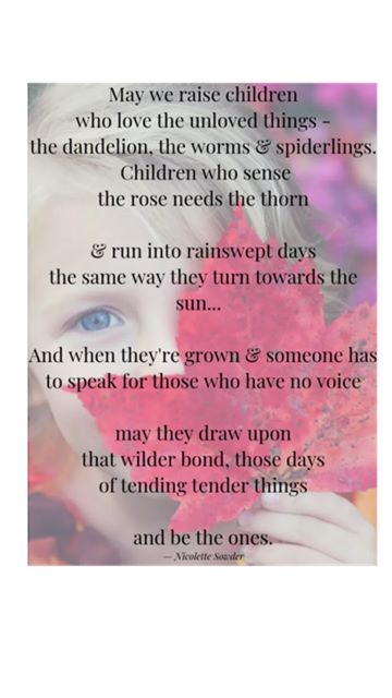 Intent, Implementation & Impact - Tunstall C of E Primary School